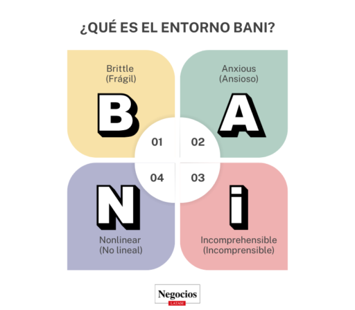 Entorno BANI: El nuevo panorama que se vive en las empresas | Negocios ...